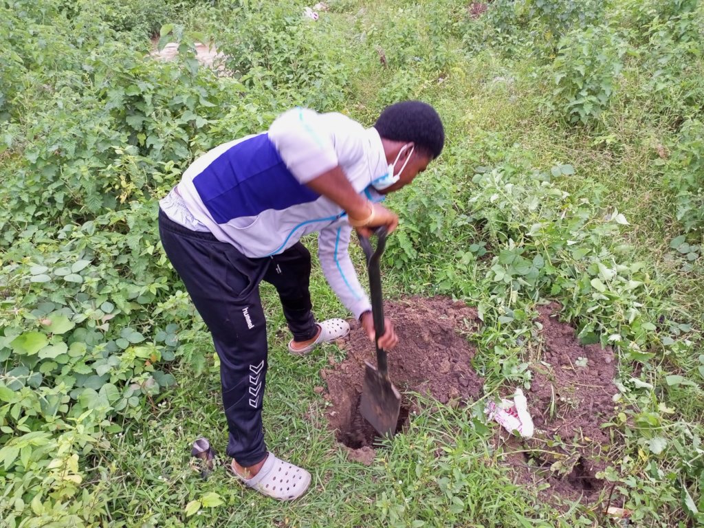 PLANT 100 FRUIT TREES IN EACH SCHOOL - GlobalGiving