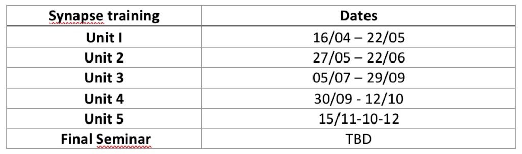 Reports on Synapse: say no to illiteracy - GlobalGiving