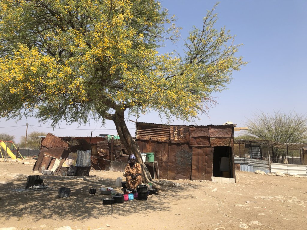 COVID19 Emergency Food Relief Distribution Namibia - GlobalGiving