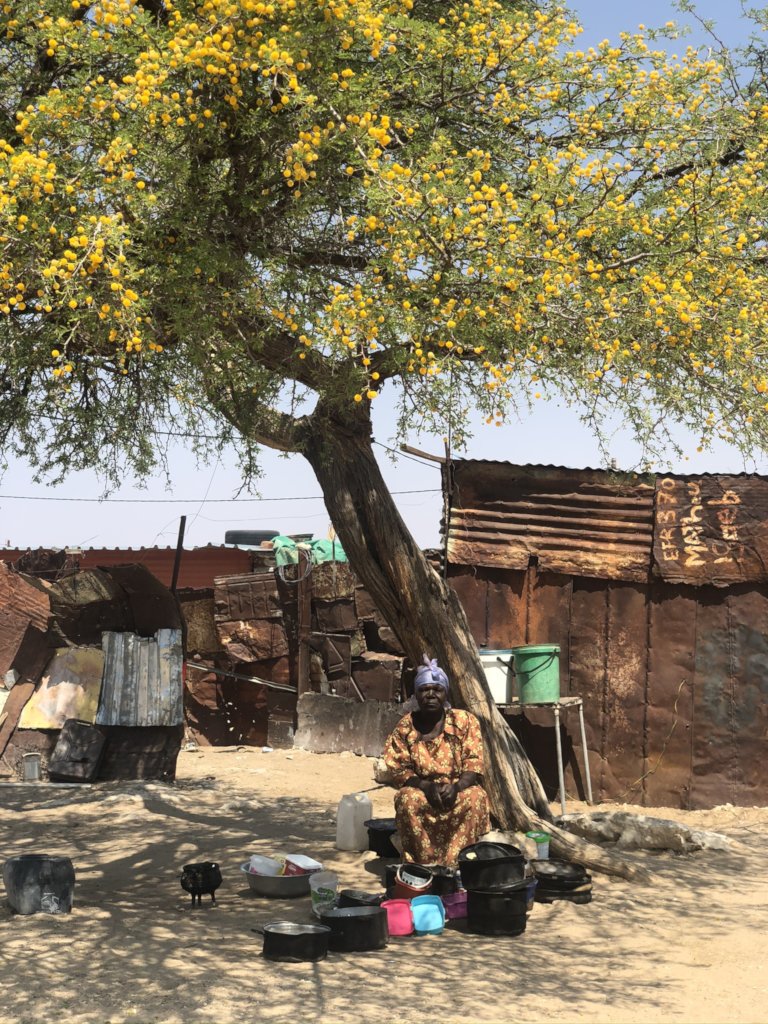 COVID19 Emergency Food Relief Distribution Namibia - GlobalGiving