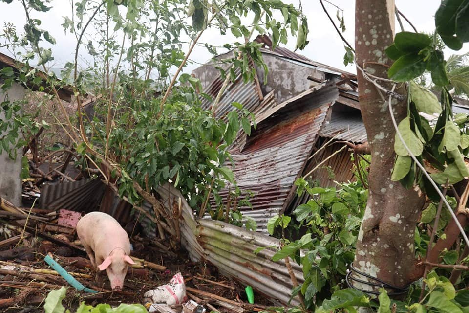 Typhoon Rolly (GONI) Emergency Response for Luzon - GlobalGiving
