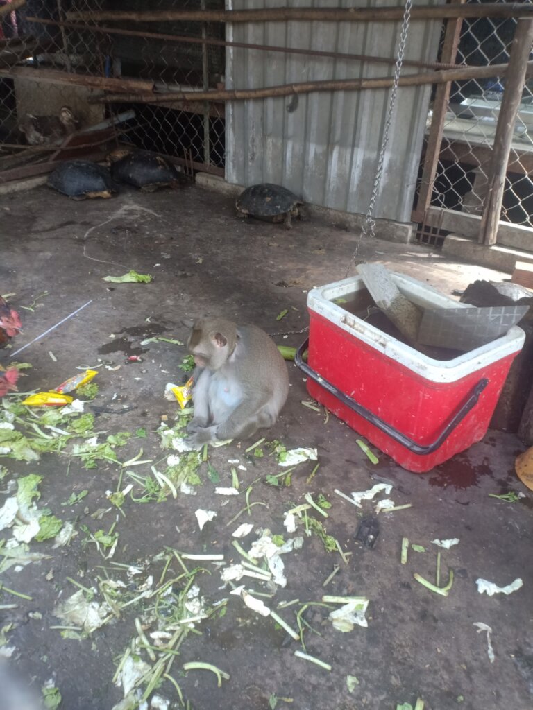 Reports on Help End the Illegal Wildlife Trade in Vietnam - GlobalGiving