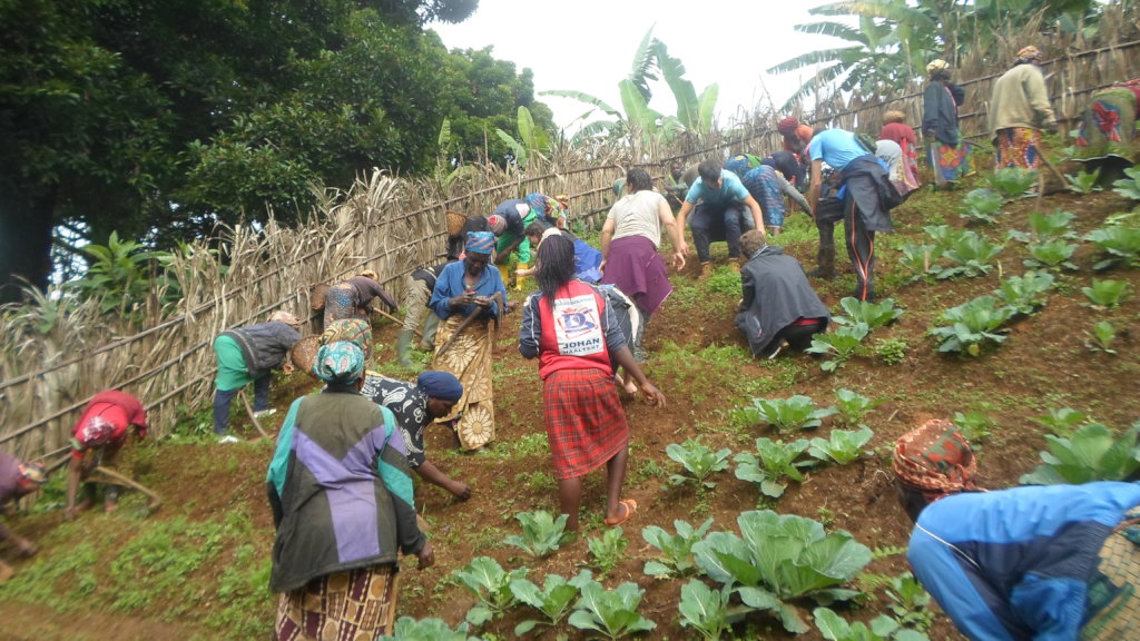 Engage 1000 women on resilient farming in Cameroon - GlobalGiving