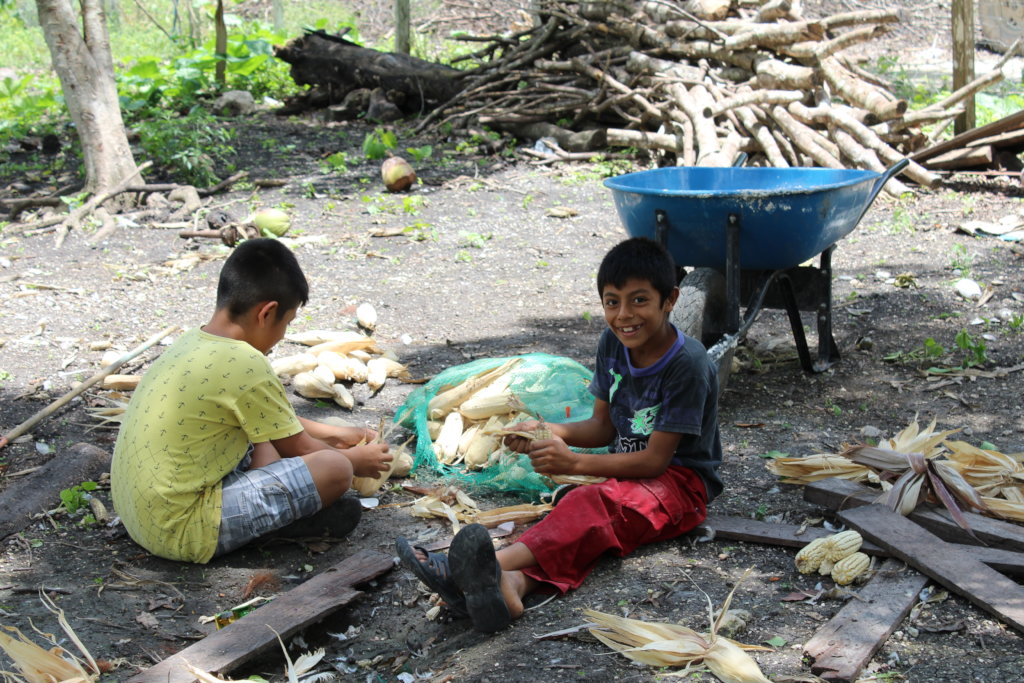 Empower environmental defenders in Mexico - GlobalGiving