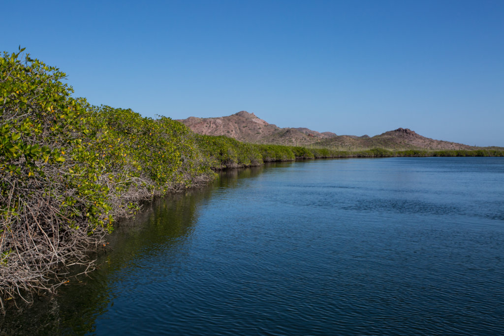 Empower environmental defenders in Mexico - GlobalGiving