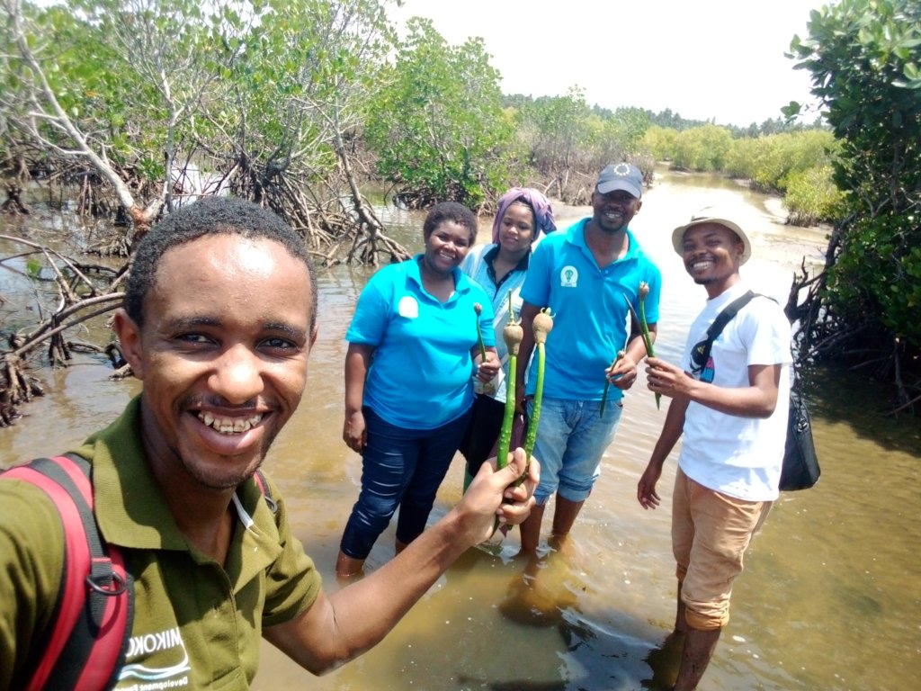 Mangrove Rehabilitation Project - GlobalGiving
