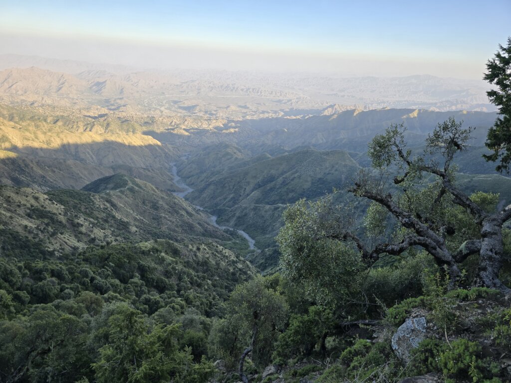 Reports on The Great Green Wall Program - GlobalGiving