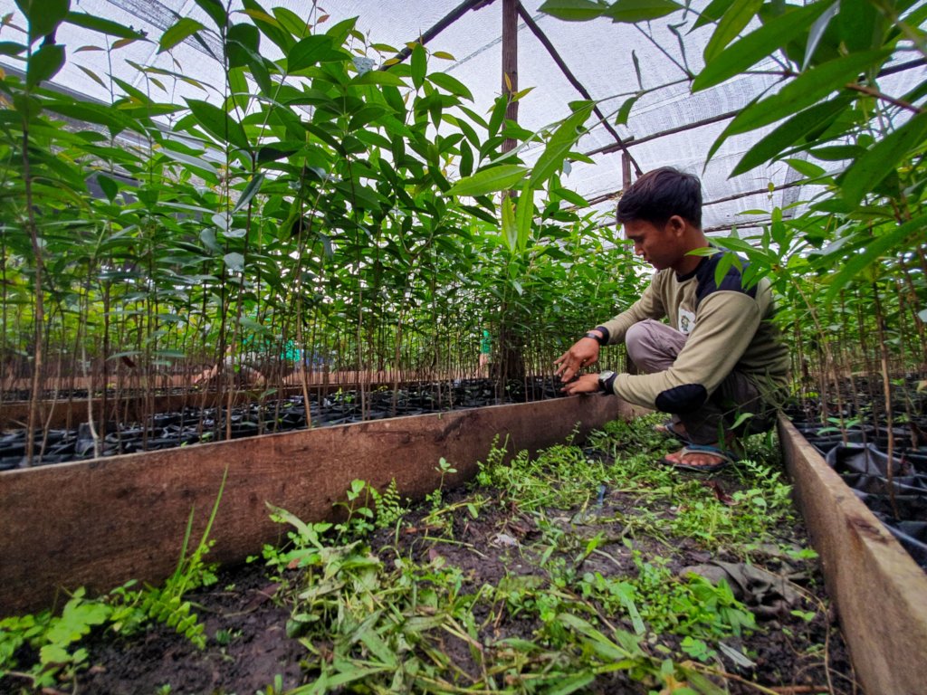 1 Million Trees: A Community Conservation Project - GlobalGiving