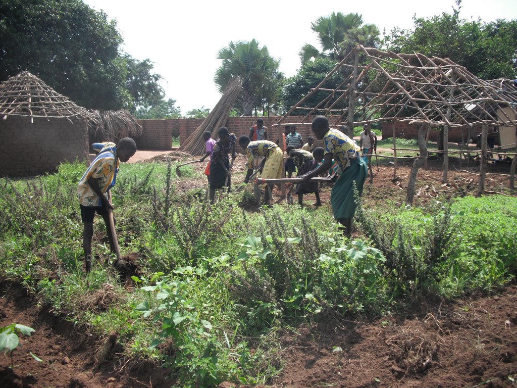 Land Purchase to Build Two New Classrooms - GlobalGiving