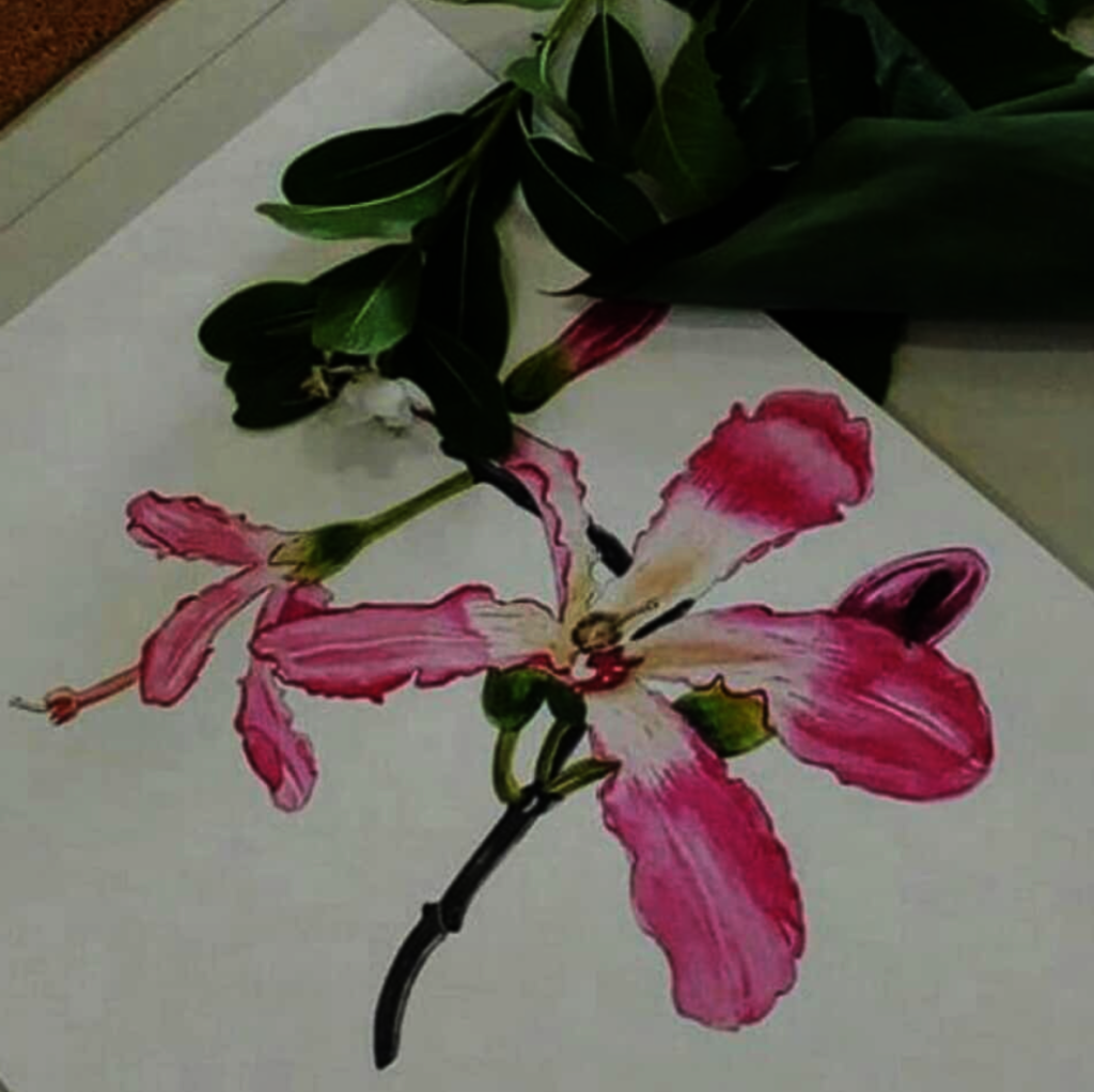 Art for community development - GlobalGiving