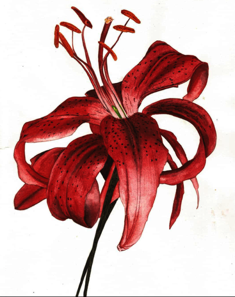 Art for community development - GlobalGiving