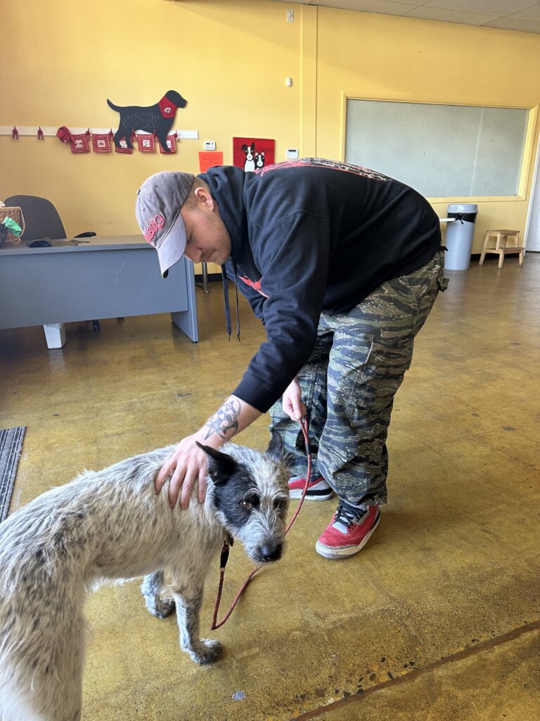Reports on War Vets Heal With the Help of Shelter Dogs - GlobalGiving