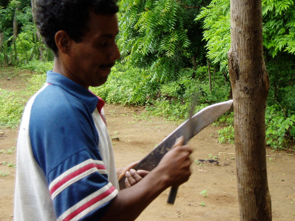 This machete grows trees! - GlobalGiving