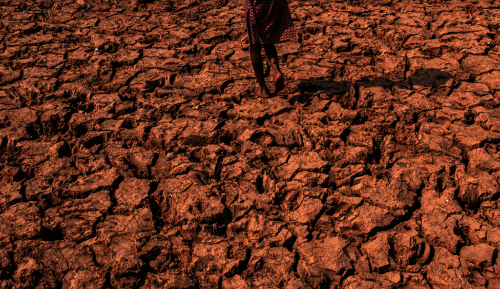 Future Rising: Girls' Education and Climate Change - GlobalGiving