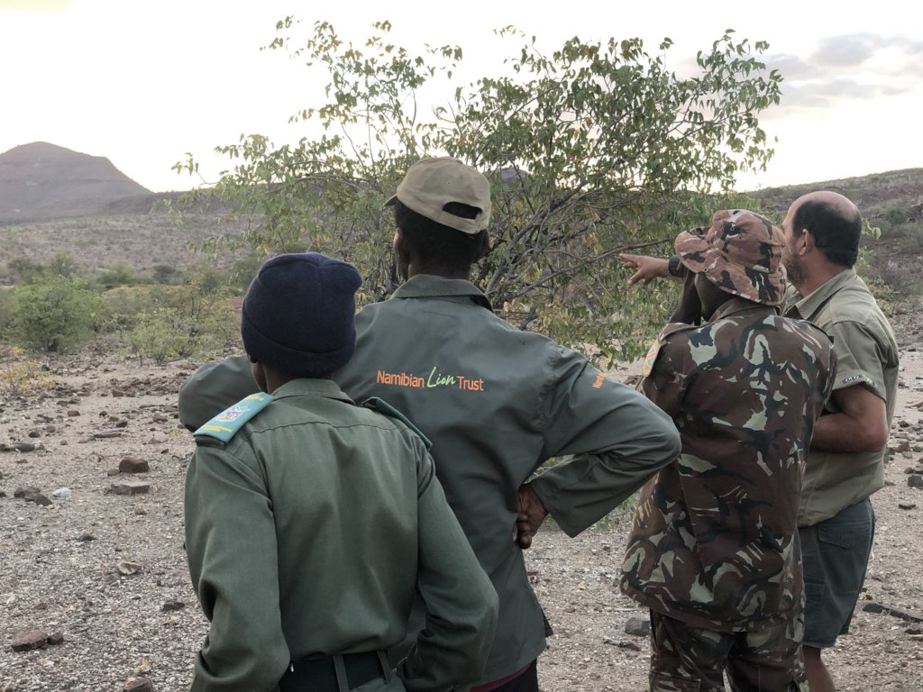 Protect lions in Namibia from retaliatory killings - GlobalGiving