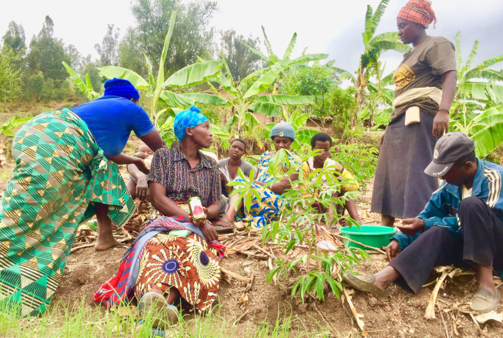 Fight hunger for 300 poor households in Rwanda - GlobalGiving