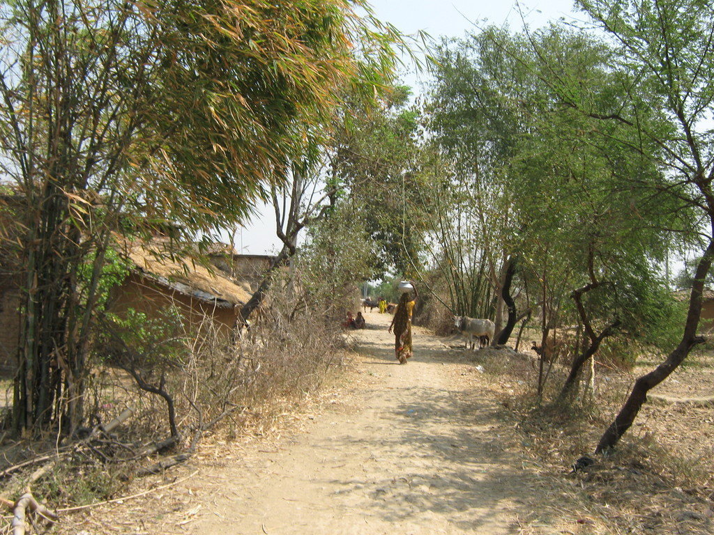 Clean water in village India - GlobalGiving