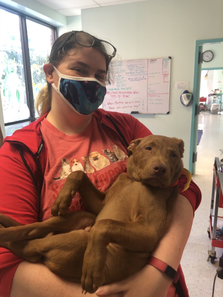 Help the Neediest Get Veterinary Care - GlobalGiving