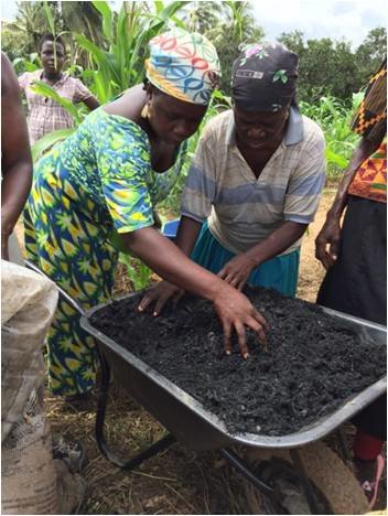 Climate smart agriculture for 500 farmers in Ghana - GlobalGiving