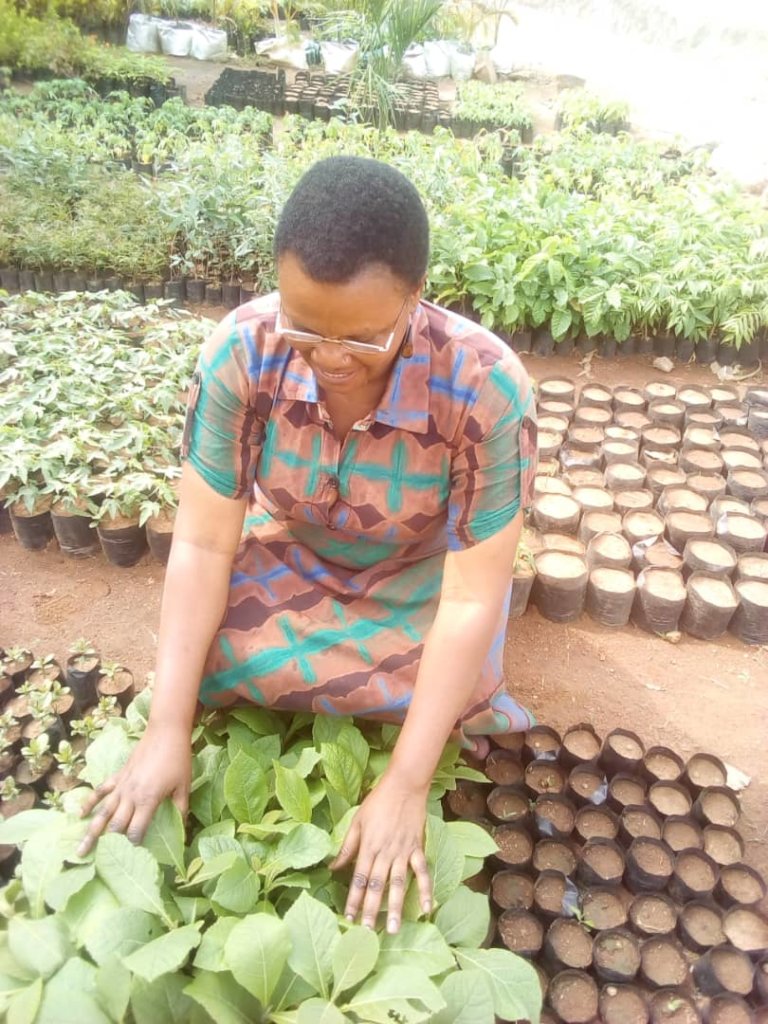 School Tree Planting Program 2021-22 - GlobalGiving