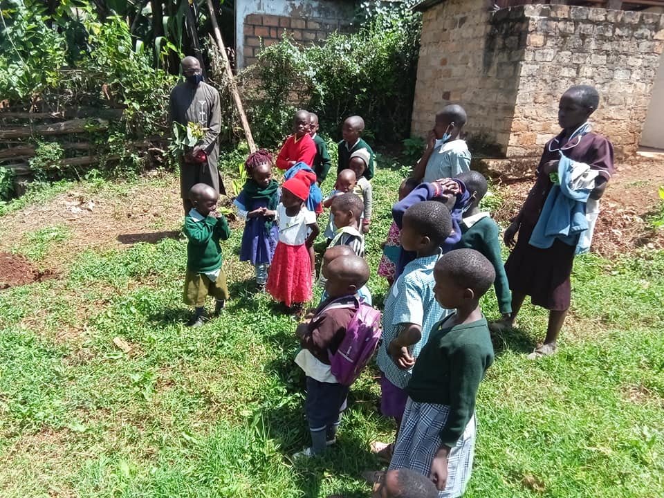 Plant 22 Million Trees by 2022 - GlobalGiving