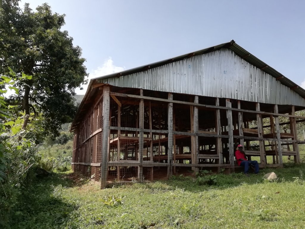 Improve 500 farmers' productivity in Mbata, Uganda - GlobalGiving