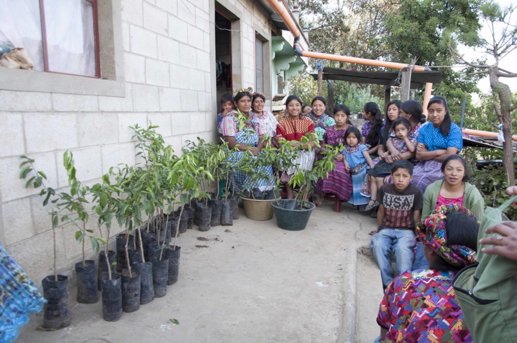 "Seeds of Resilience: An Indigenous Women-Led Tree - GlobalGiving