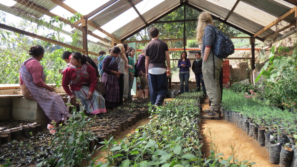 "Seeds of Resilience: An Indigenous Women-Led Tree - GlobalGiving