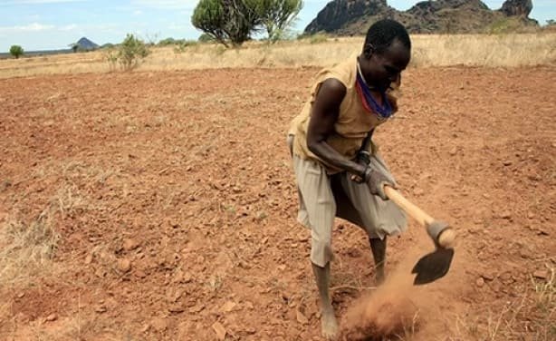 FIGHT HUNGER & FOOD INSECURITY IN S/EAST, NIGERIA - GlobalGiving