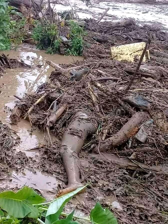 River Mubuku upstream catchment Management - GlobalGiving