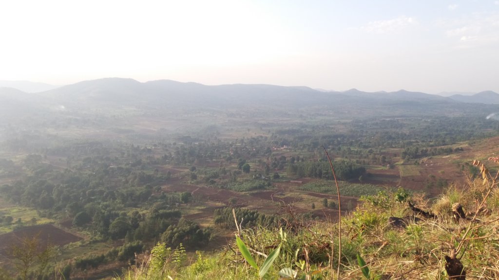 Climate change adoption for 100 farmers in Uganda - GlobalGiving