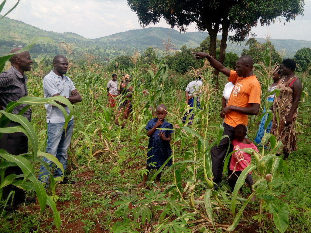 Climate change adoption for 100 farmers in Uganda - GlobalGiving