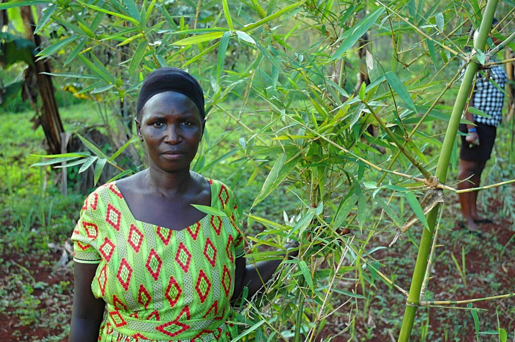 Climate change adoption for 100 farmers in Uganda - GlobalGiving