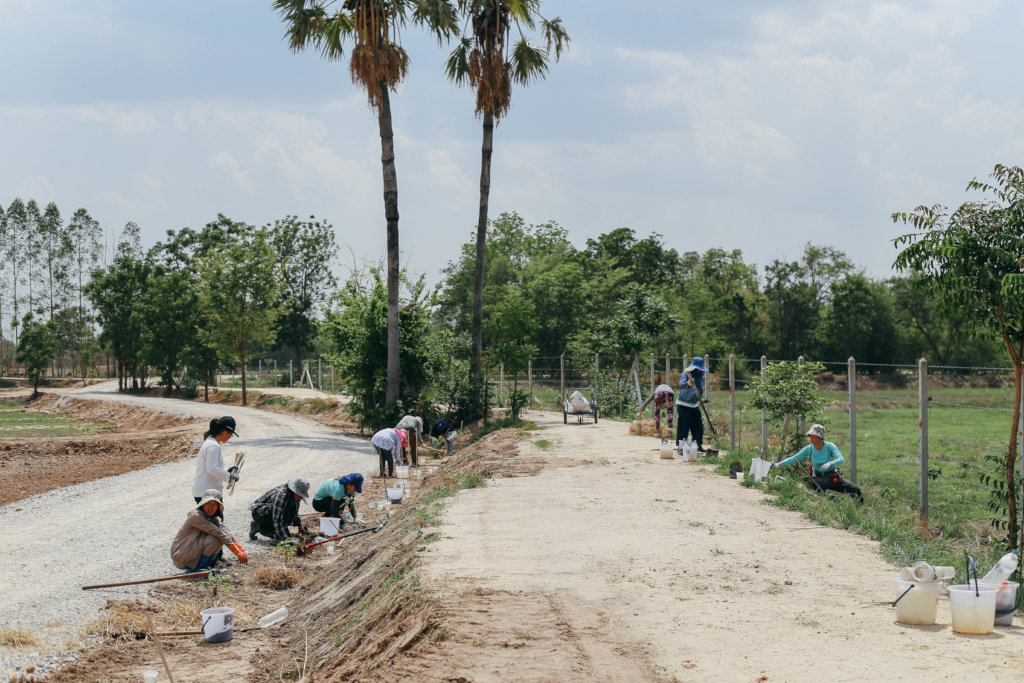 Empower 80+ communities restore their ecosystems - GlobalGiving