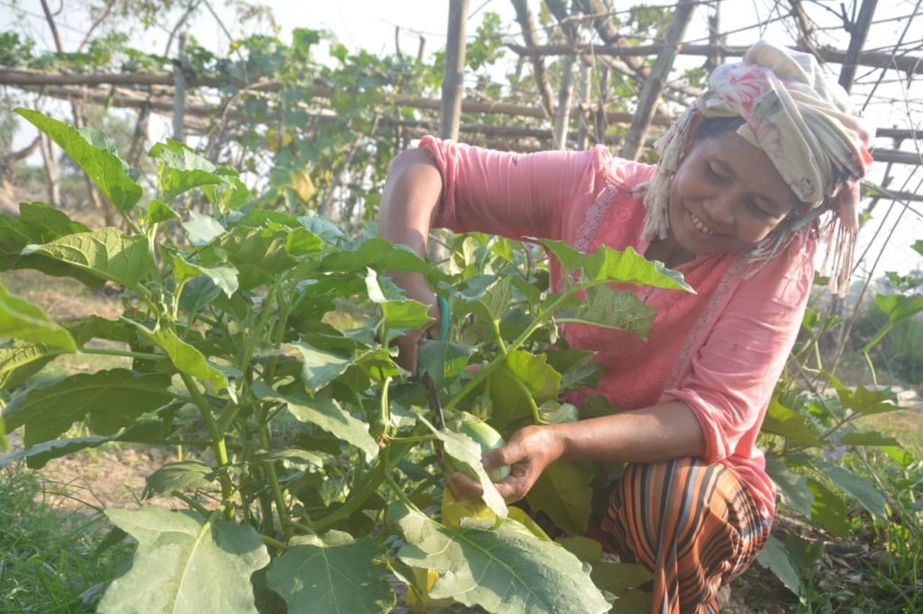 Enhance Food Security for 300 Returned Migrants - GlobalGiving