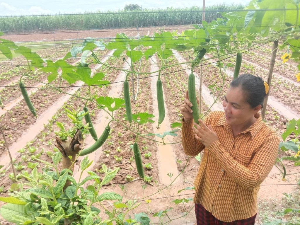 Enhance Food Security for 300 Returned Migrants - GlobalGiving