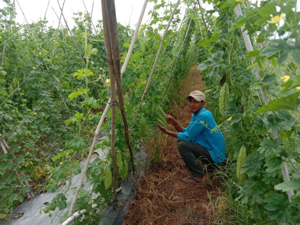 Enhance Food Security for 300 Returned Migrants - GlobalGiving