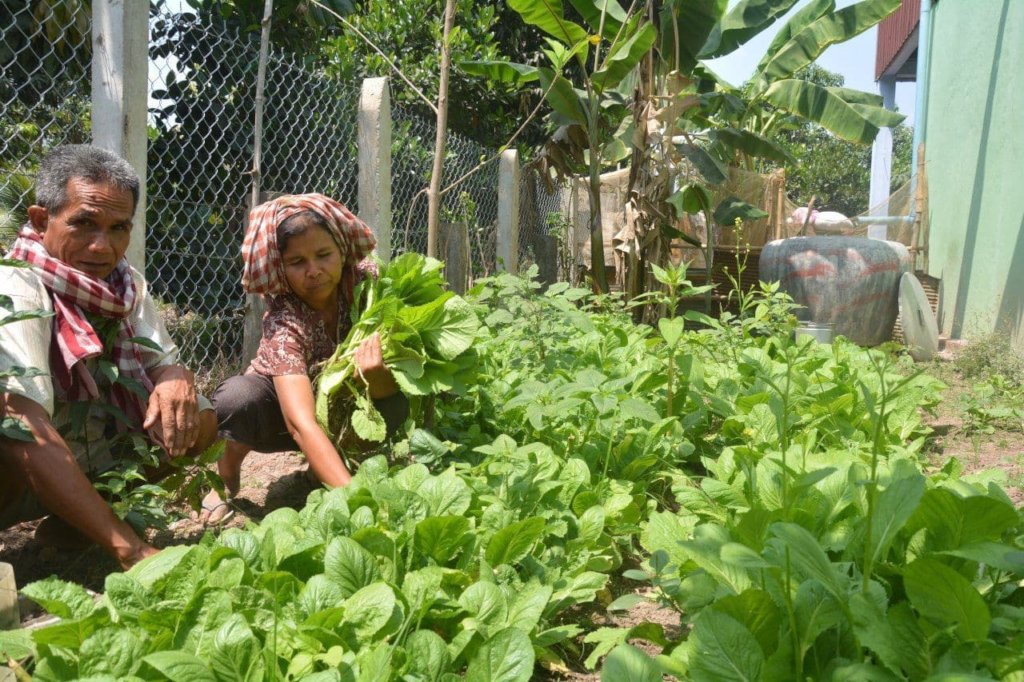 Enhance Food Security for 300 Returned Migrants - GlobalGiving