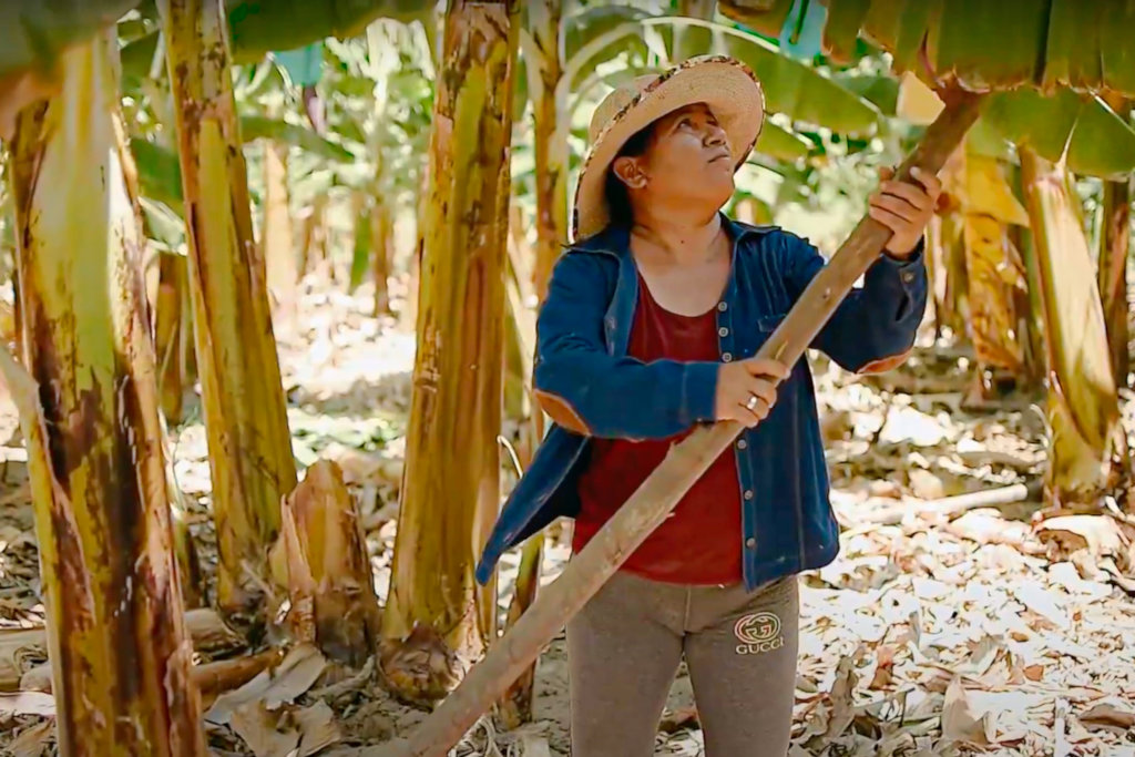 Organic banana composting in Peru & Ecuador - GlobalGiving