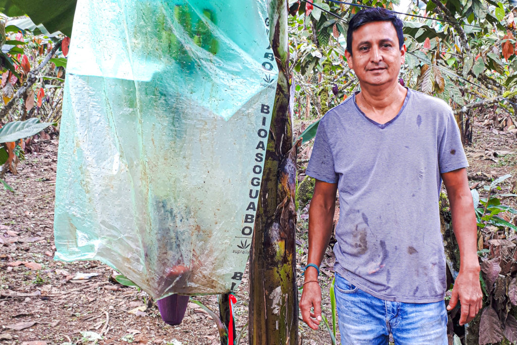 Organic banana composting in Peru & Ecuador - GlobalGiving