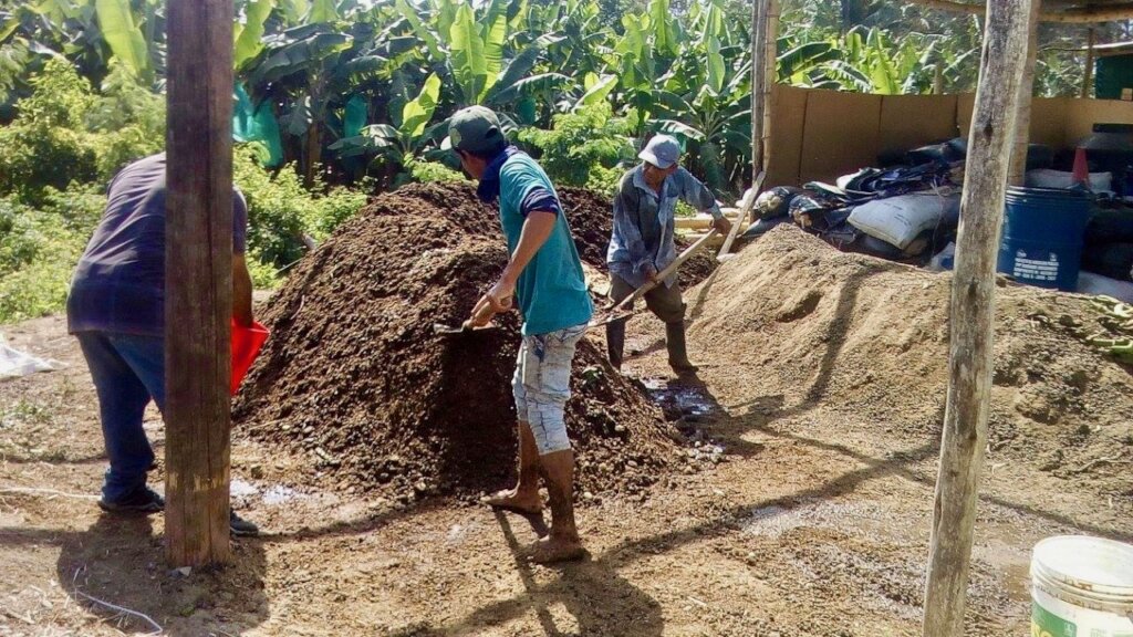 Organic banana composting in Peru & Ecuador - GlobalGiving