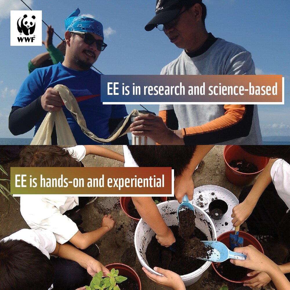 Reports on Environmental Education for Filipino Children - GlobalGiving