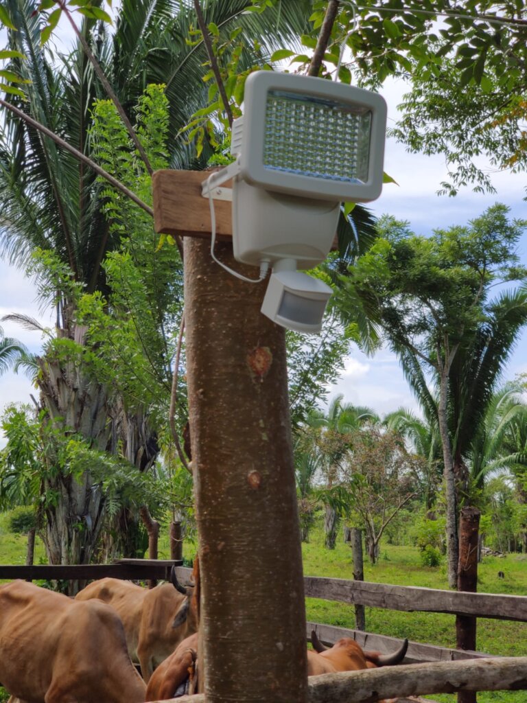 Reports on Living with Jaguars: Protect Belize's Largest Cat - GlobalGiving