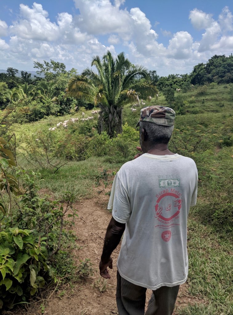 Living with Jaguars: Protect Belize's Largest Cat - GlobalGiving