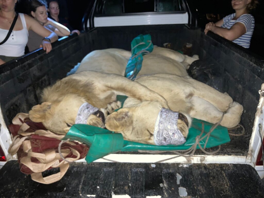 Dedicated wildlife rescue vehicle - GlobalGiving