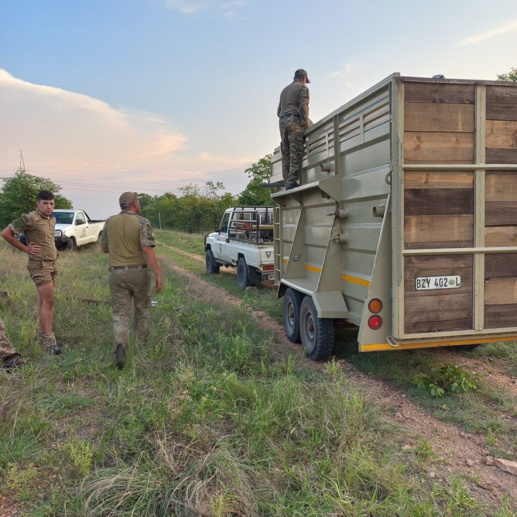 Dedicated wildlife rescue vehicle - GlobalGiving