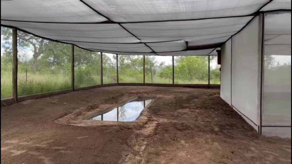 Reports on Build SA's 1st Free-Tailed Bat Flight Cage - GlobalGiving