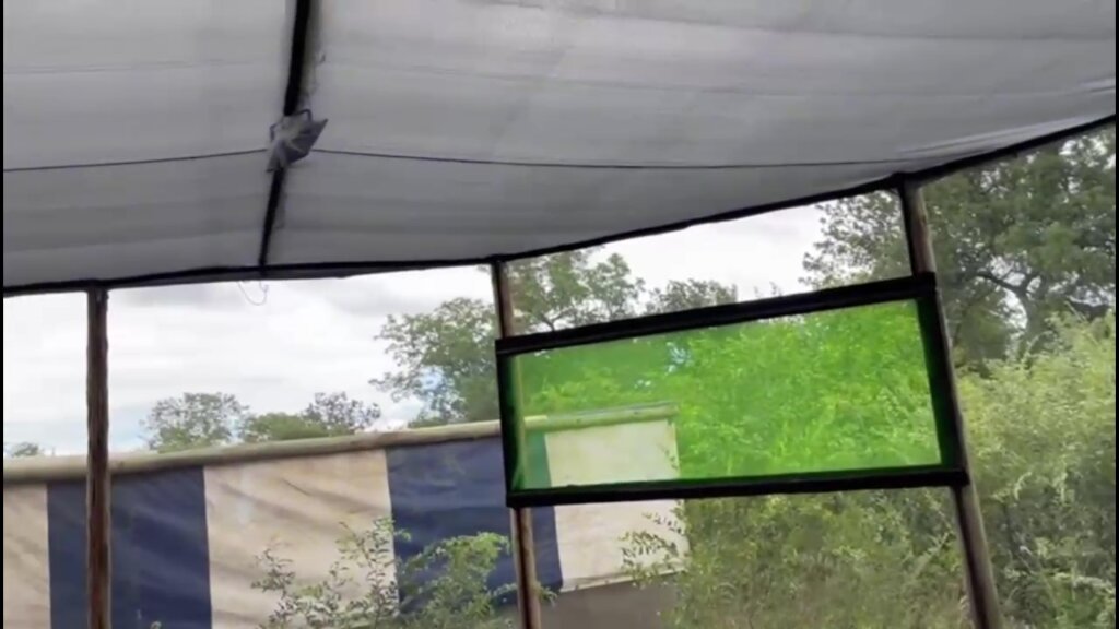 Reports on Build SA's 1st Free-Tailed Bat Flight Cage - GlobalGiving