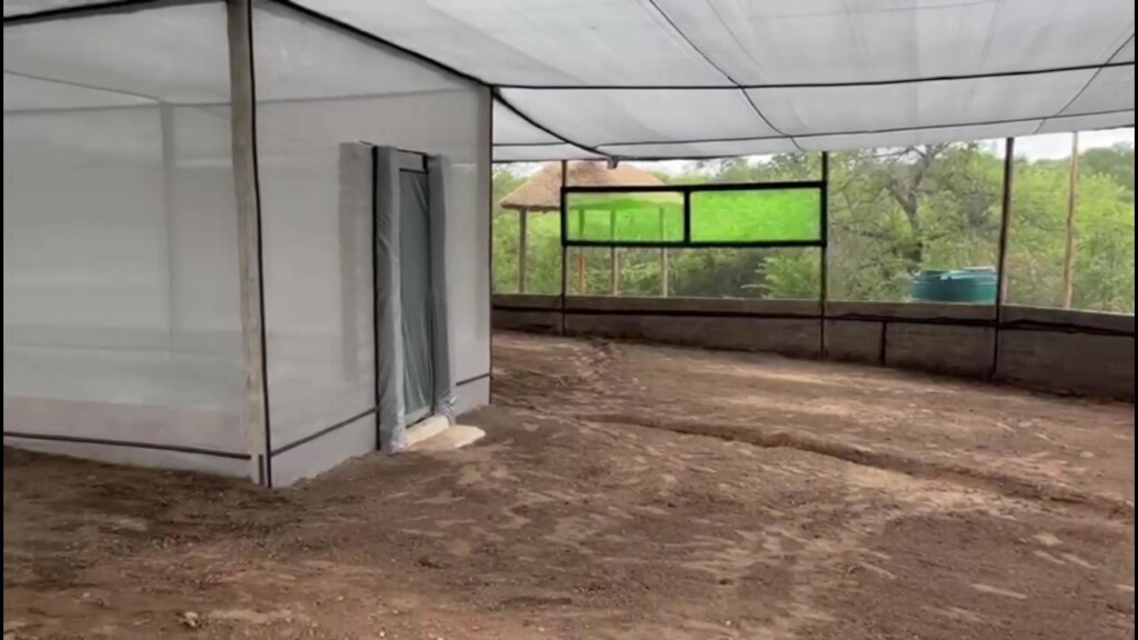 Reports on Build SA's 1st Free-Tailed Bat Flight Cage - GlobalGiving