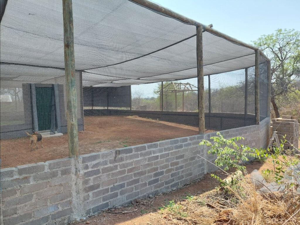 Reports on Build SA's 1st Free-Tailed Bat Flight Cage - GlobalGiving